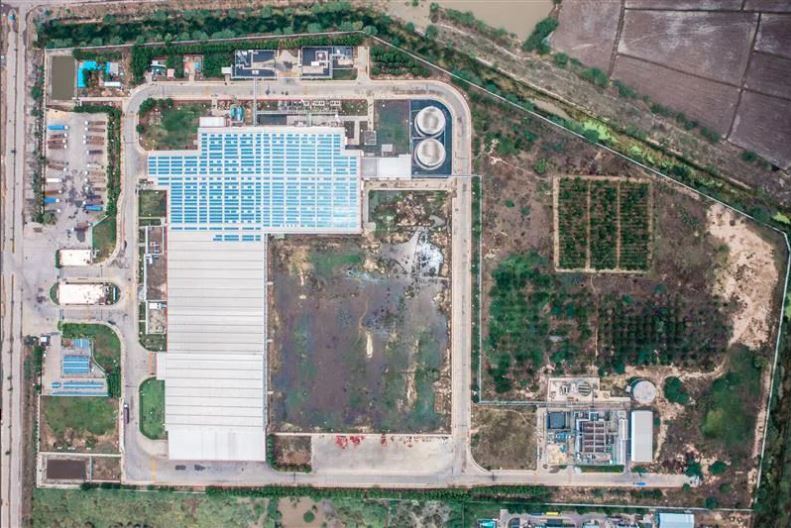 World Environment Day 2023: Know HCCB's Contribution towards the ...