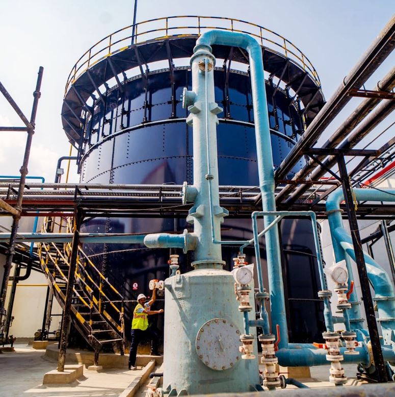 World Environment Day 2023: Know HCCB's Contribution towards the ...